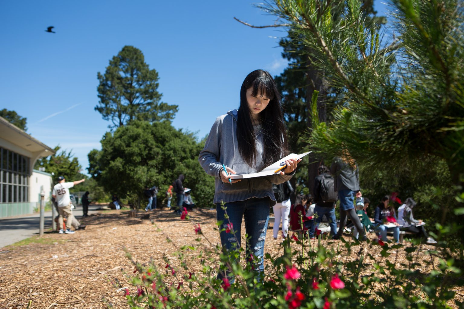 Calming Spaces in Schools and Classrooms – California Safe and ...