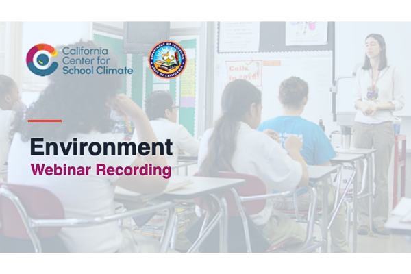 The Role of Restorative Practices in School Transformation: Centering ...